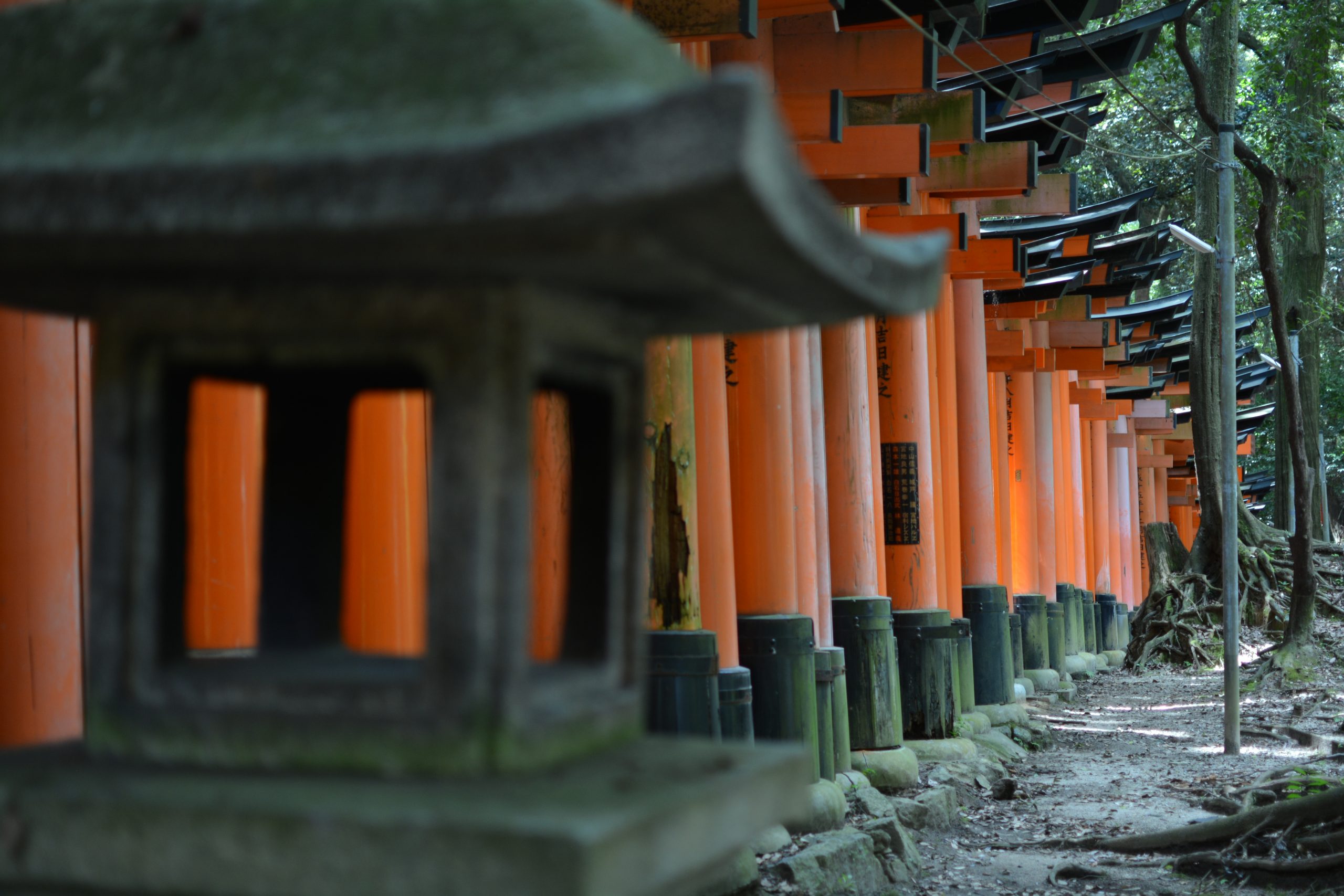 Kyoto, la città dei mille templi - il giro del mondo attraverso i ...
