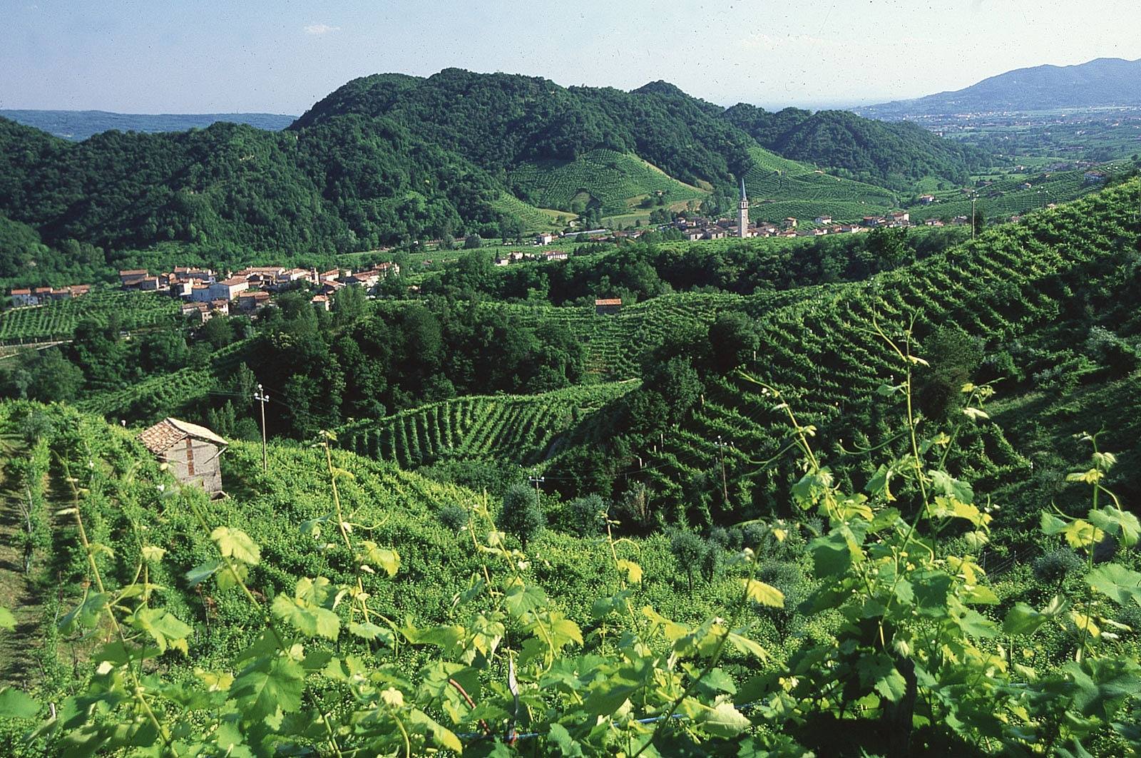 Viaggiatori Unesco: Intervista con Els Slots - il giro del mondo ...